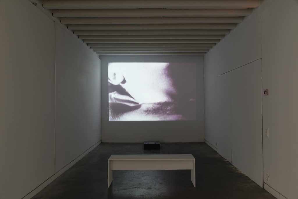 The Registry of Promise curated by Chris Sharp – Art Viewer