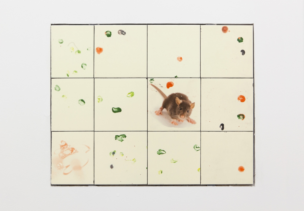 Tom Humphreys at What Pipeline – Art Viewer
