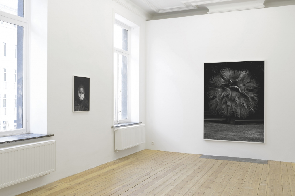 Geert Goiris at Catherine Bastide – Art Viewer