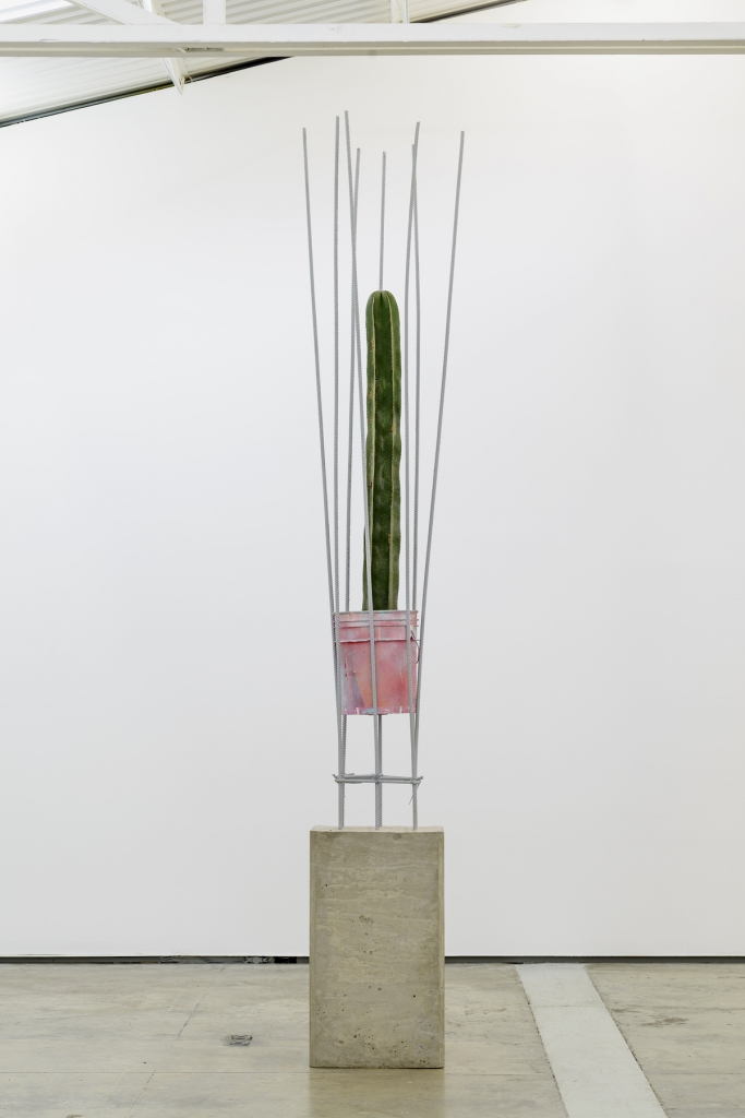 Adrien Missika at Proyectos Monclova – Art Viewer