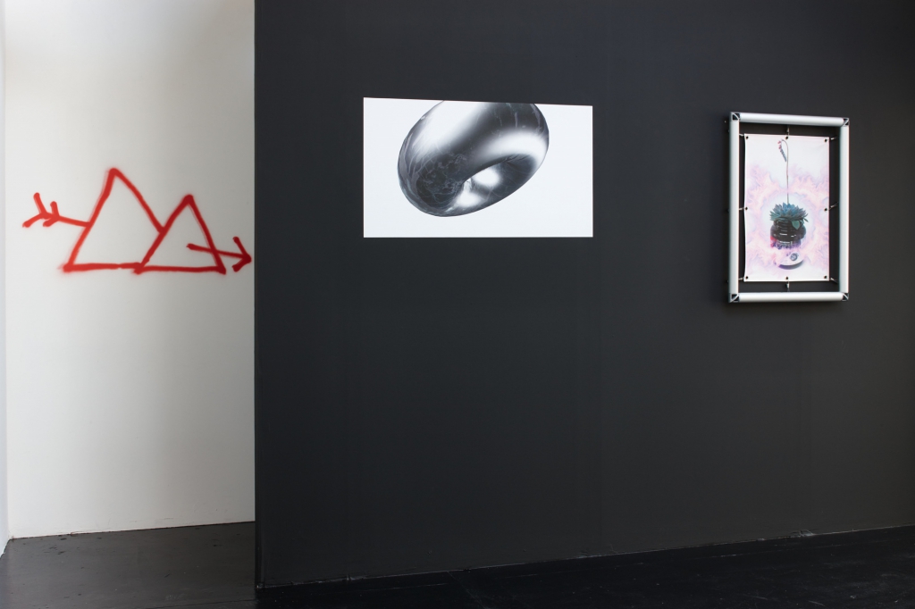 Cookie Gate at Ellis King – Art Viewer