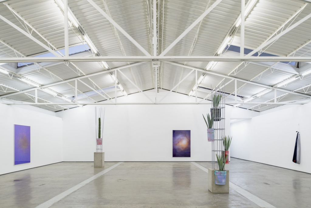 Adrien Missika at Proyectos Monclova – Art Viewer