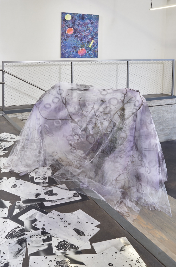 Carter Mull at fused space – Art Viewer