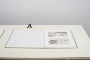 Consequences at Fondazione Giuliani – Art Viewer
