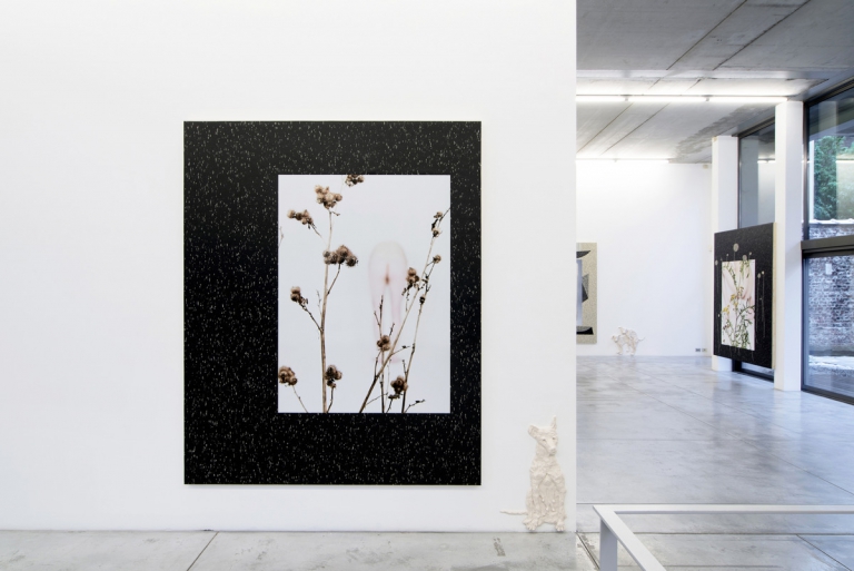 Aline Bouvy at Albert Baronian – Art Viewer