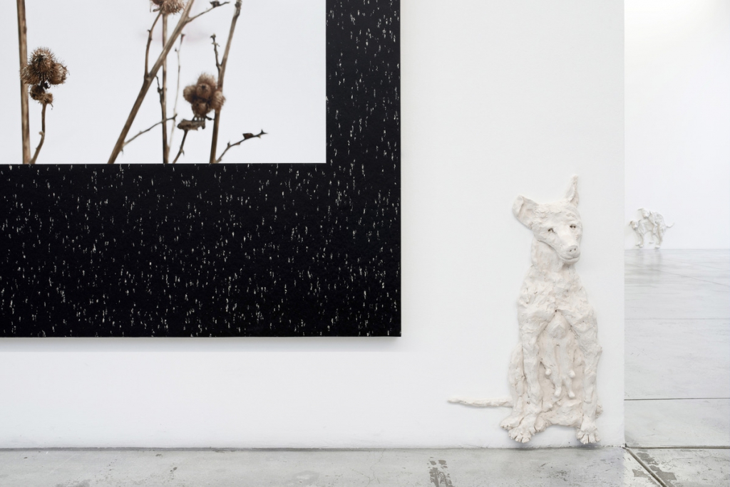 Aline Bouvy at Albert Baronian – Art Viewer