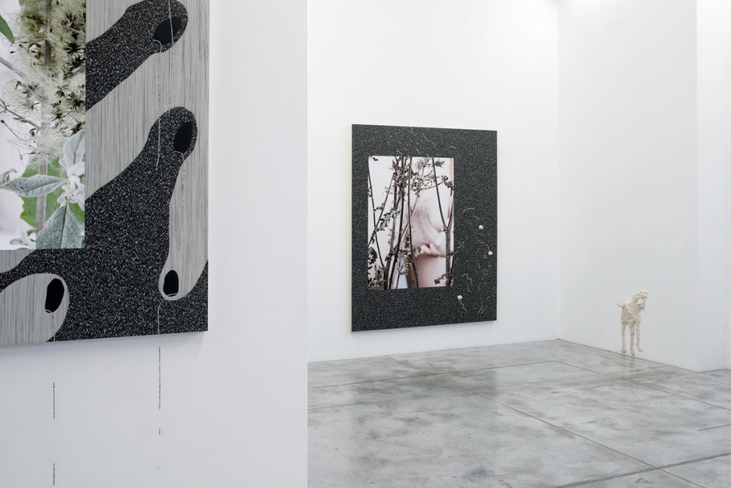 Aline Bouvy at Albert Baronian – Art Viewer