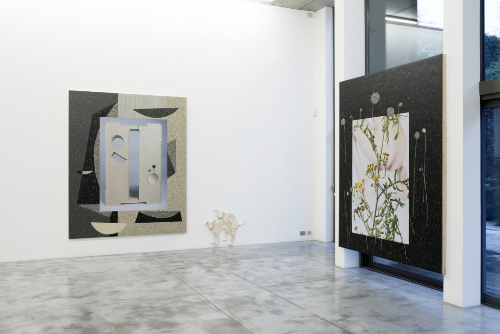 Aline Bouvy at Albert Baronian – Art Viewer