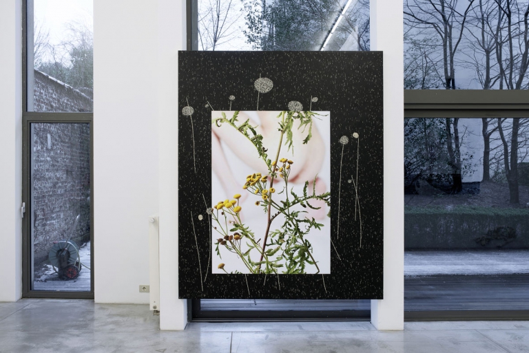 Aline Bouvy at Albert Baronian – Art Viewer