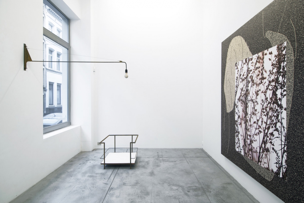 Aline Bouvy at Albert Baronian – Art Viewer