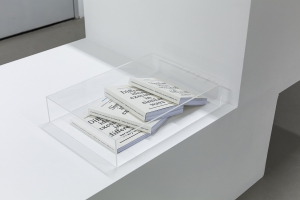 Tim Hollander at P/////AKT – Art Viewer