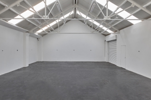 Michael Ross at Ellis King – Art Viewer