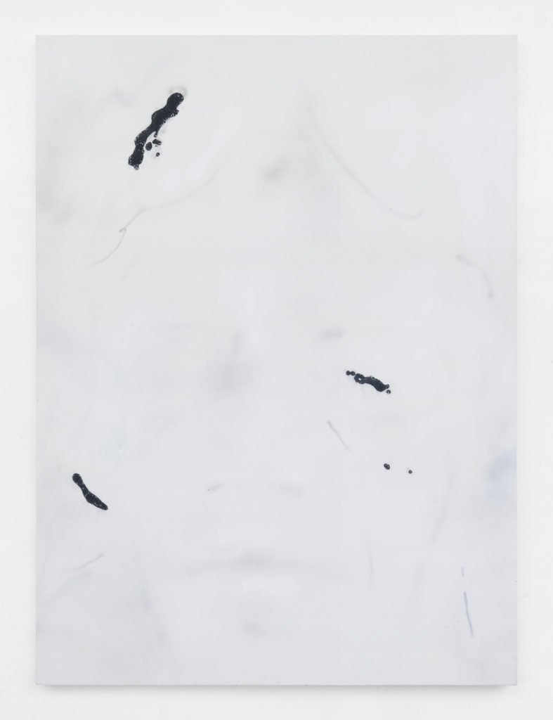 Ian Swanson at ASHES/ASHES – Art Viewer