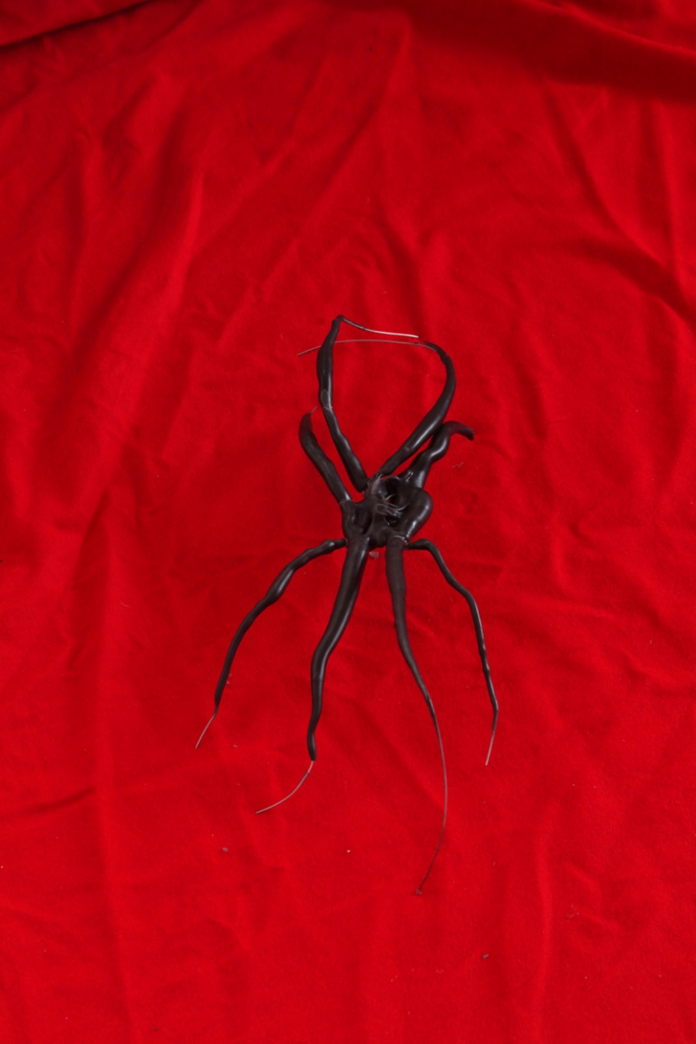 Anna Holtz – Art Viewer