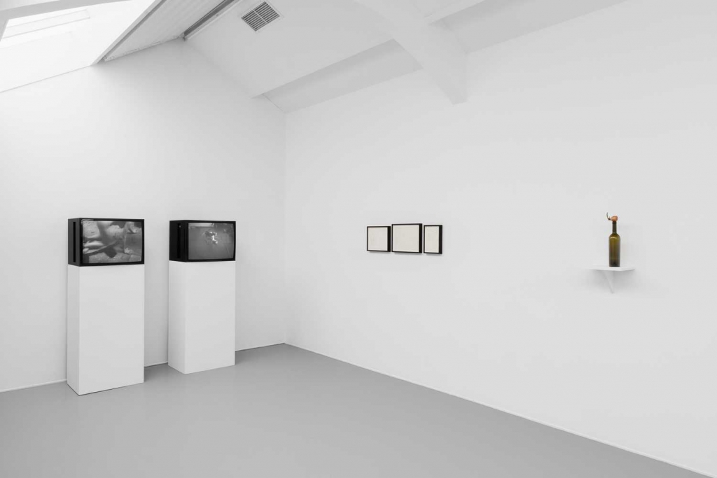 Simone Forti at Vleeshal – Art Viewer