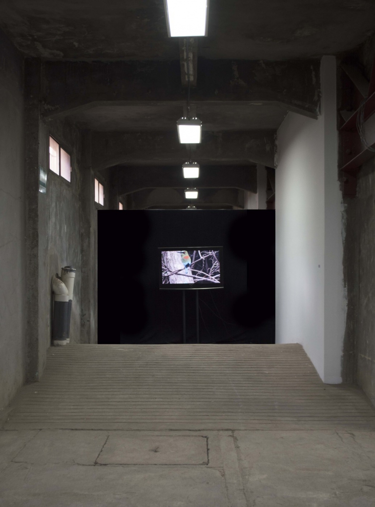 X Bienal de Nicaragua: Palacio Nacional de Cultura – Art Viewer