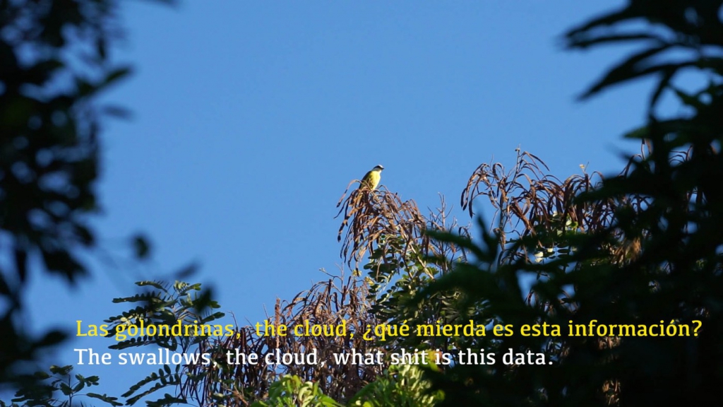 X Bienal de Nicaragua: Palacio Nacional de Cultura – Art Viewer