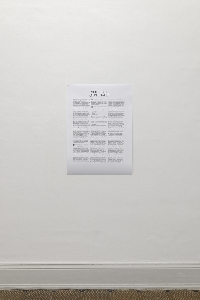 Trust in Fiction at CRAC Alsace – Art Viewer