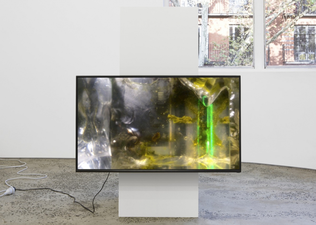 Joshua Petherick at Minerva – Art Viewer