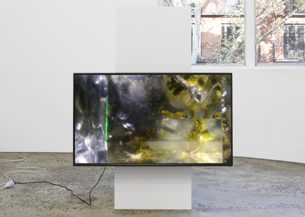 Joshua Petherick at Minerva – Art Viewer