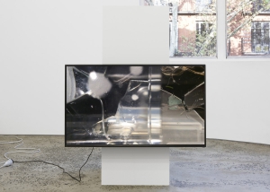 Joshua Petherick at Minerva – Art Viewer