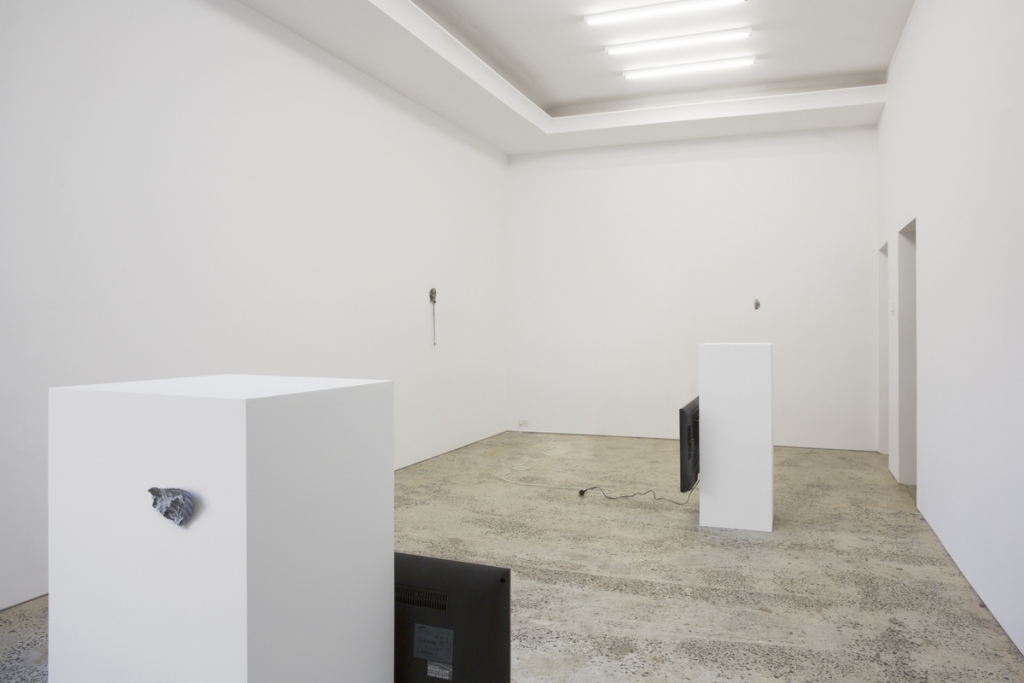 Joshua Petherick at Minerva – Art Viewer