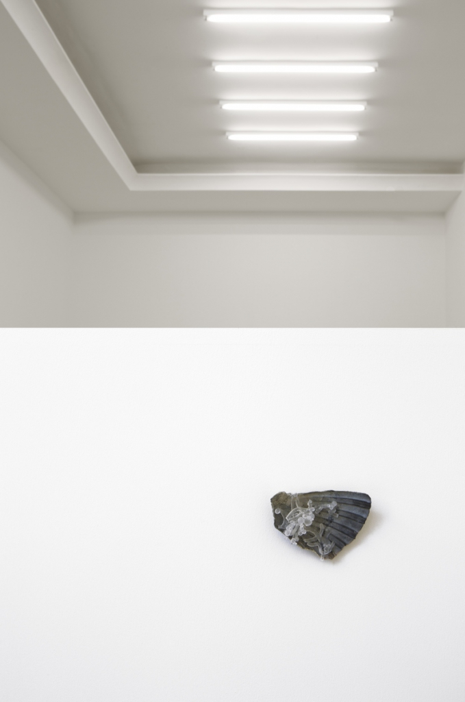 Joshua Petherick at Minerva – Art Viewer