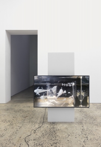 Joshua Petherick at Minerva – Art Viewer