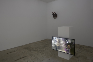 Joshua Petherick at Minerva – Art Viewer