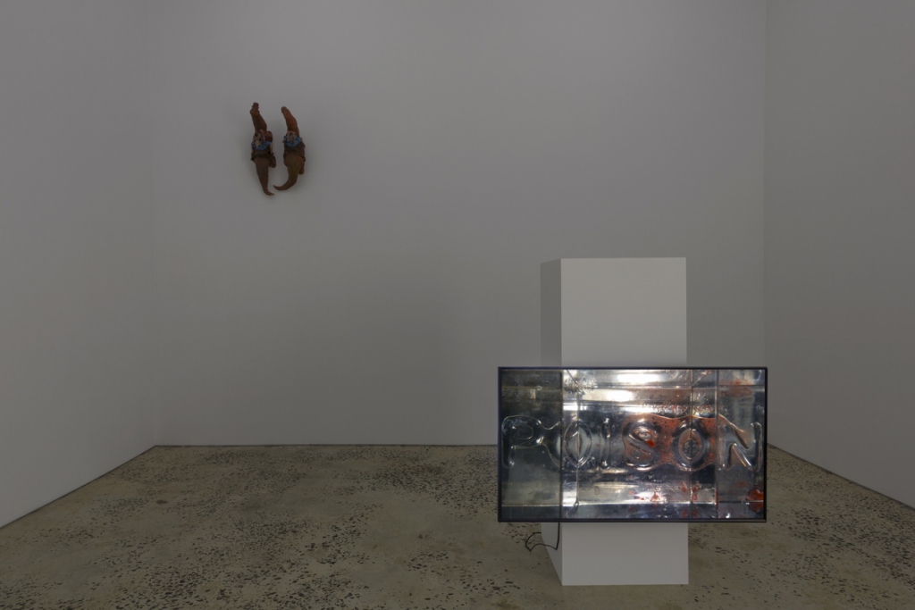 Joshua Petherick at Minerva – Art Viewer