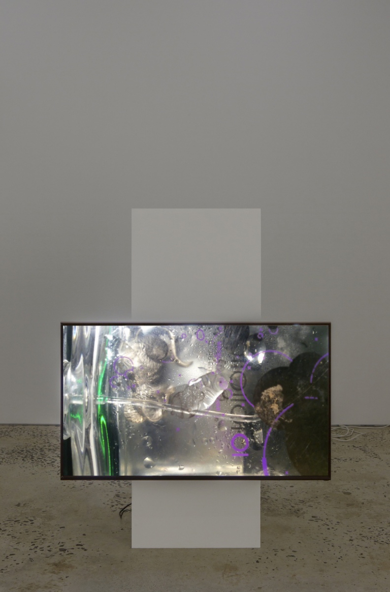 Joshua Petherick at Minerva – Art Viewer