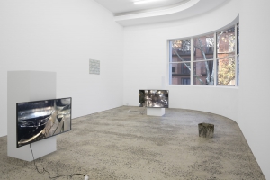 Joshua Petherick at Minerva – Art Viewer