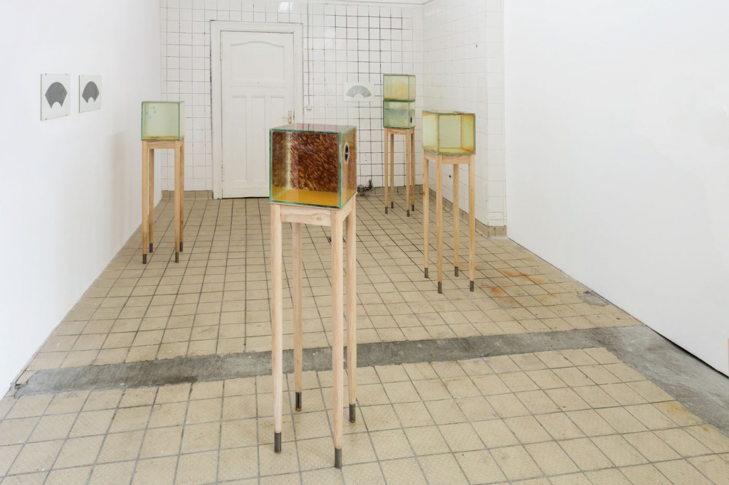 Stian Eide Kluge at Frankfurt am Main – Art Viewer