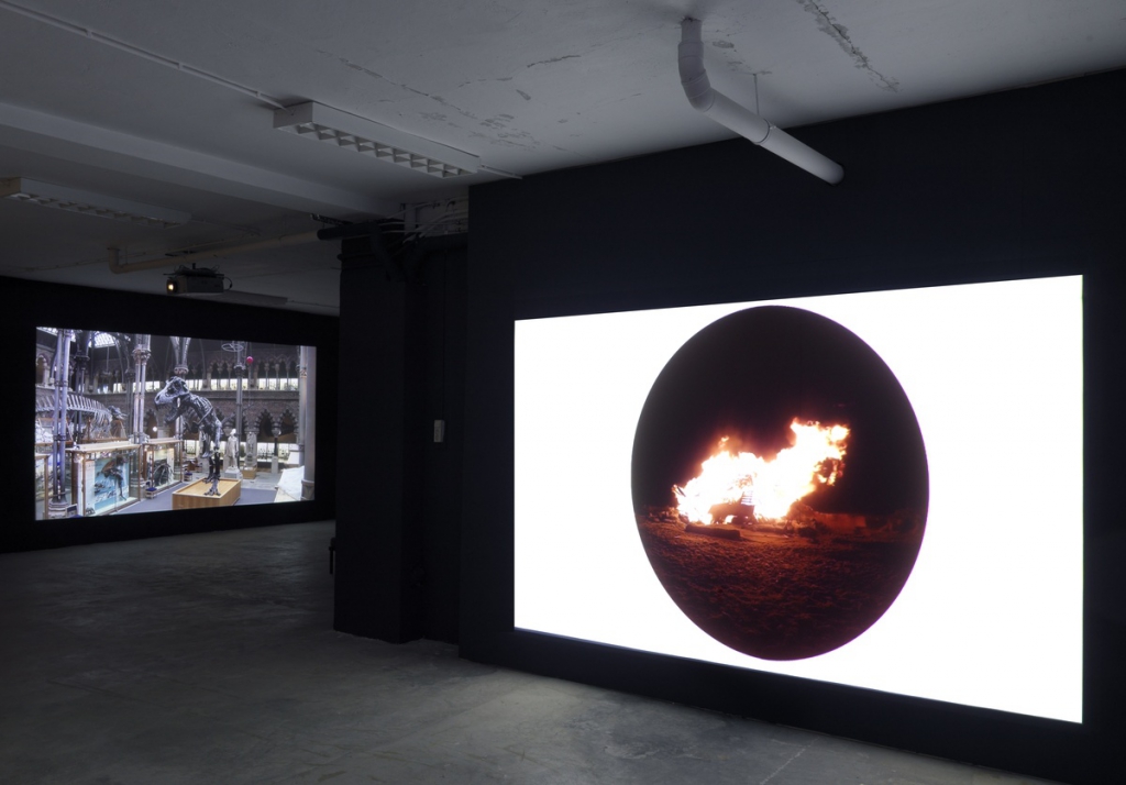 Silent Light at Dürst Britt & Mayhew – Art Viewer