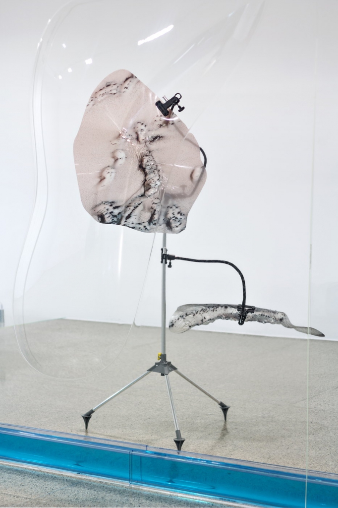 Pakui Hardware at MUMOK – Art Viewer