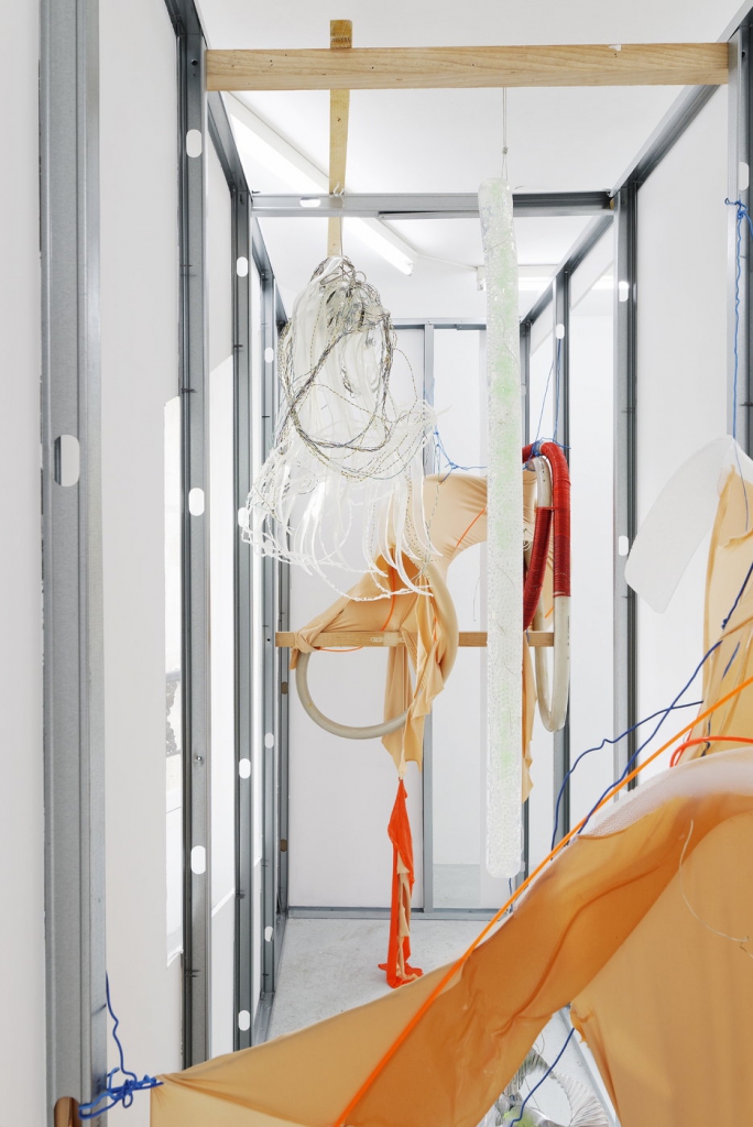 Daiga Grantina at Galerie Joseph Tang – Art Viewer