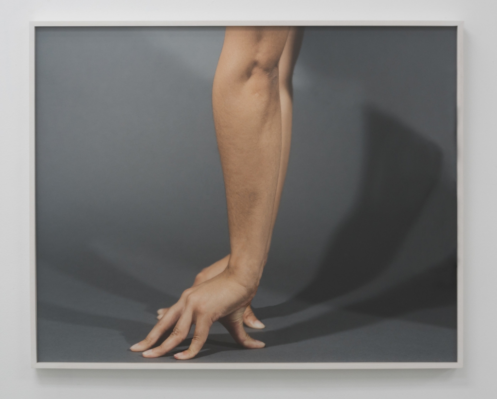 MUSHROOMS & HONEY at metro pcs – Art Viewer