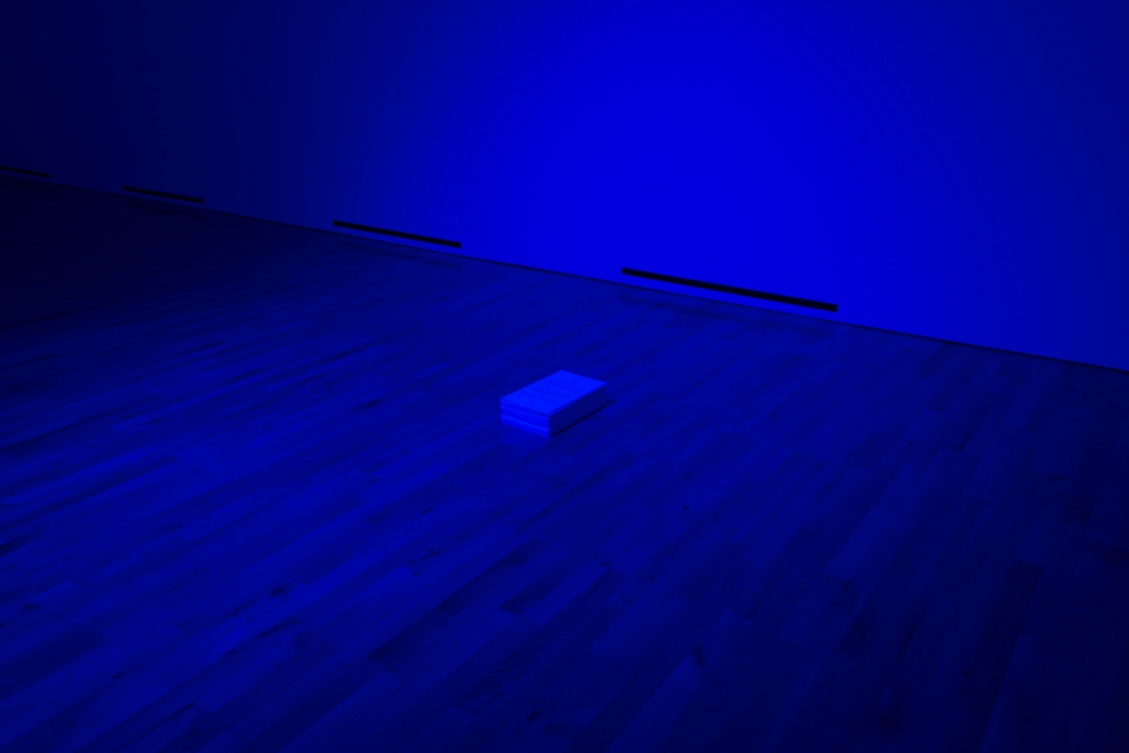 EVERYBODY! COME STAND ON THE ALTAR! at PSSST – Art Viewer