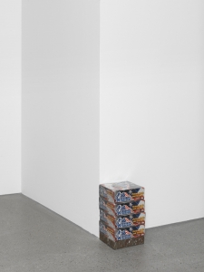 Mitchell Anderson and Jon Rafman at Maria Bernheim – Art Viewer