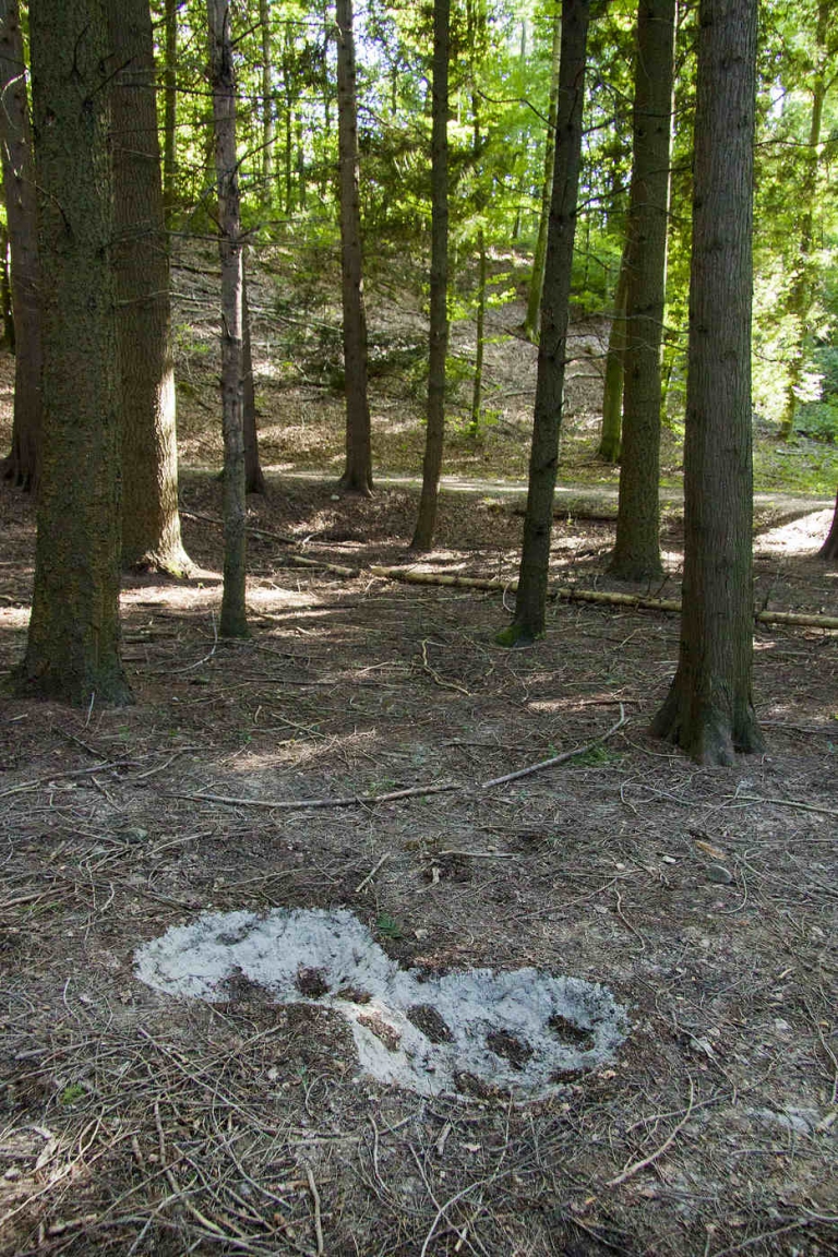 Stoneroses #5 at Riverside – Art Viewer