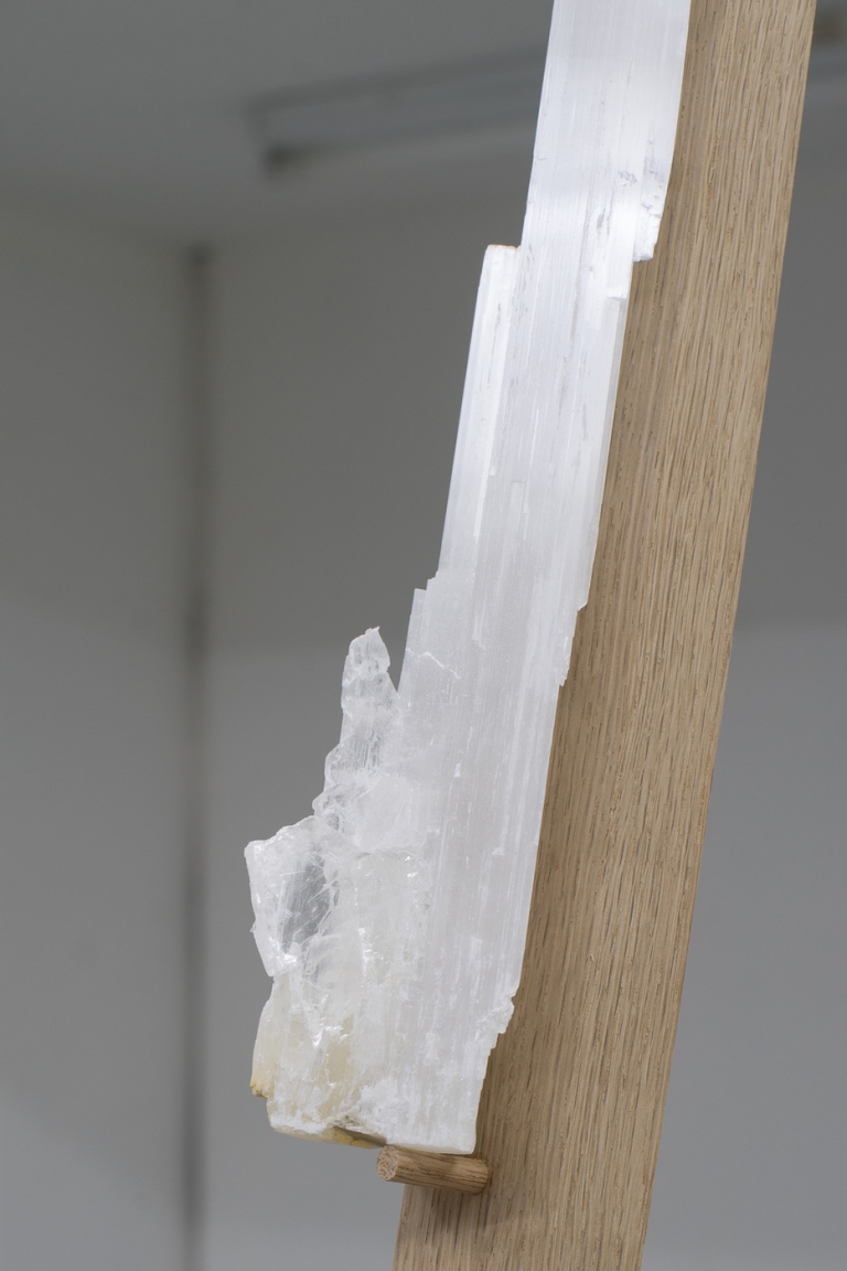 Lisa Radon at Muscle Beach – Art Viewer