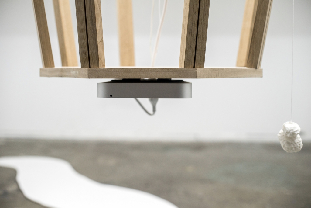 Lisa Radon at Muscle Beach – Art Viewer