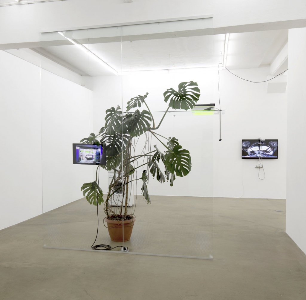 Pepo Salazar at SABOT – Art Viewer