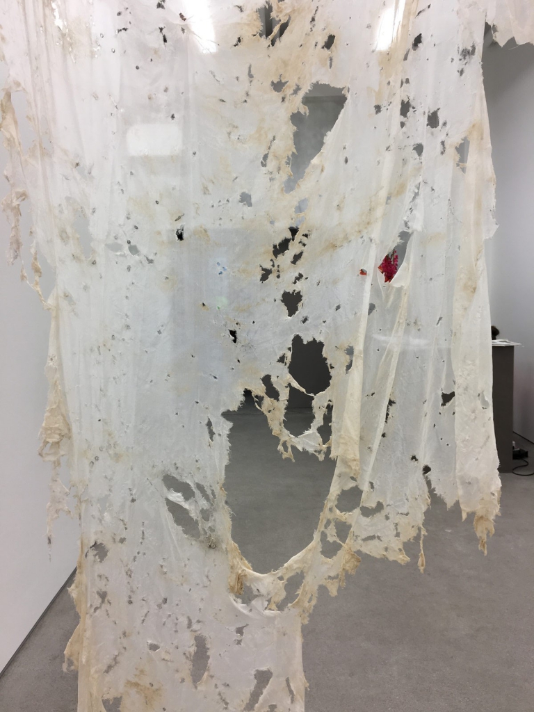 Elisabeth Haarr at Kunsthall Oslo – Art Viewer