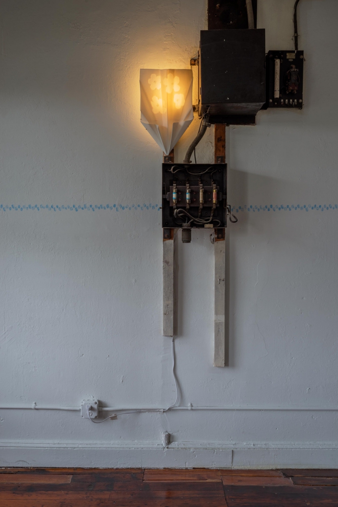 David Muenzer at Lord Ludd – Art Viewer