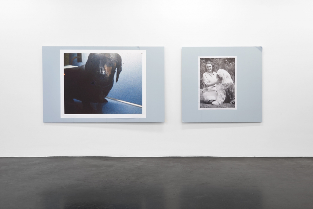 George Rippon at Markus Lüttgen – Art Viewer