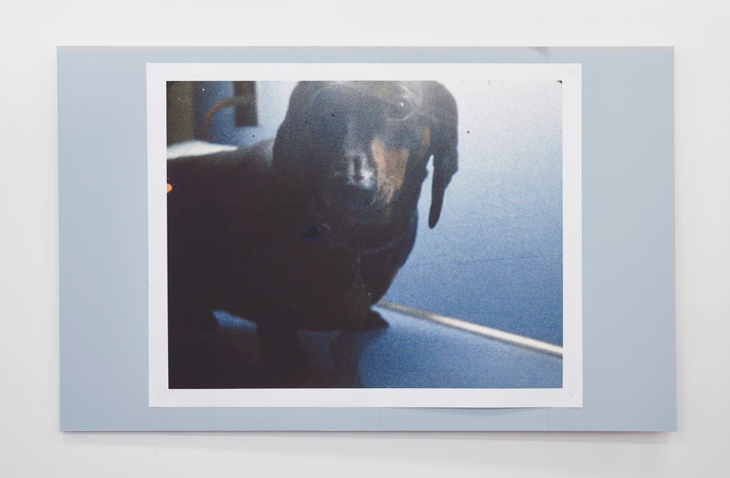 George Rippon at Markus Lüttgen – Art Viewer