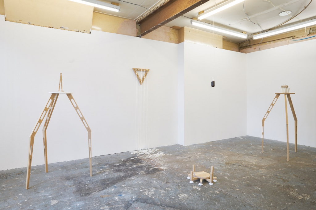 Lisa Radon at Jupiter Woods – Art Viewer