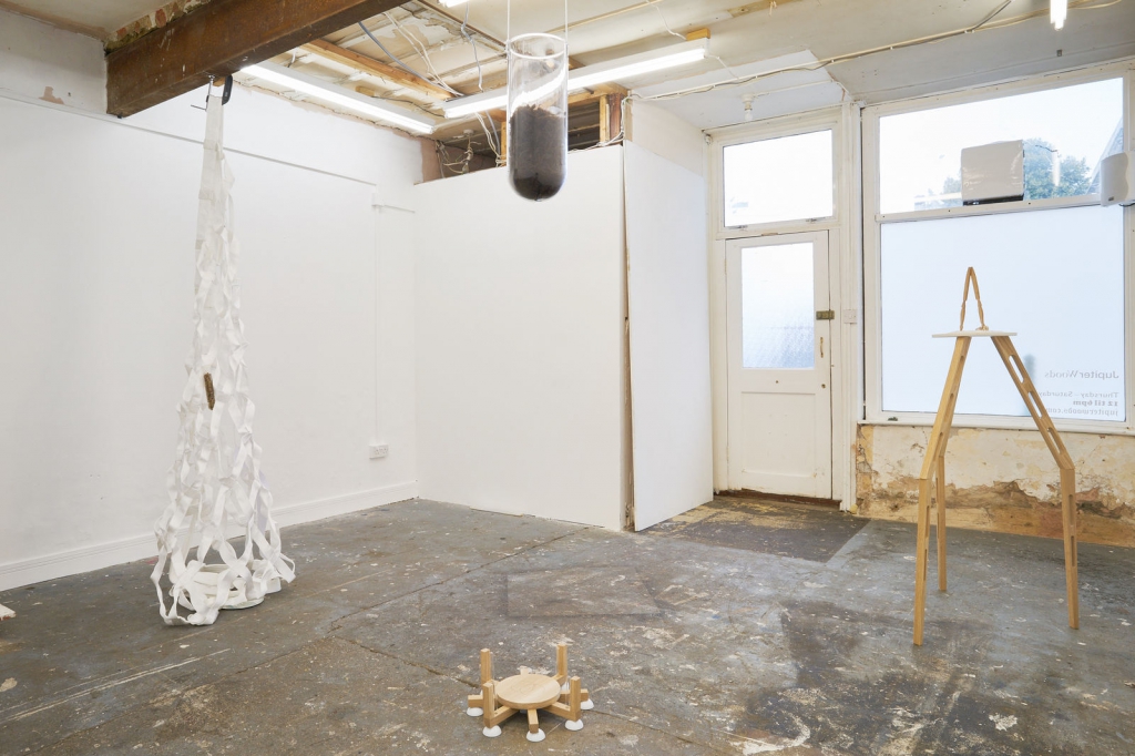 Lisa Radon at Jupiter Woods – Art Viewer