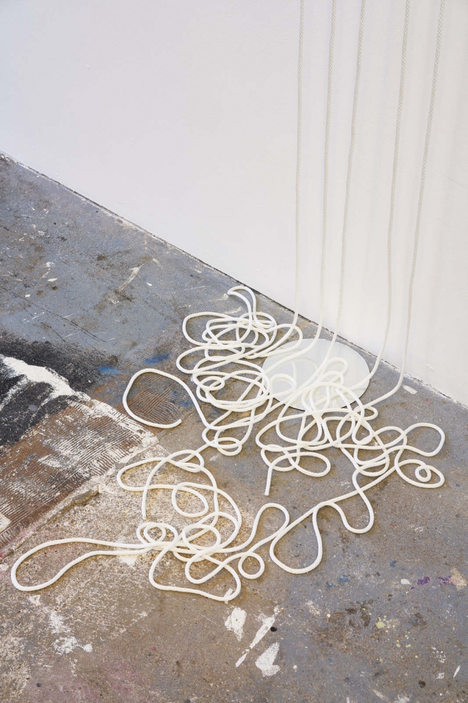 Lisa Radon at Jupiter Woods – Art Viewer